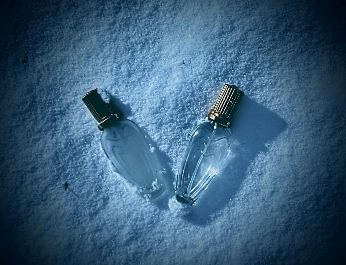 Tender Light Escada fragancia - una fragancia para Mujeres 1999