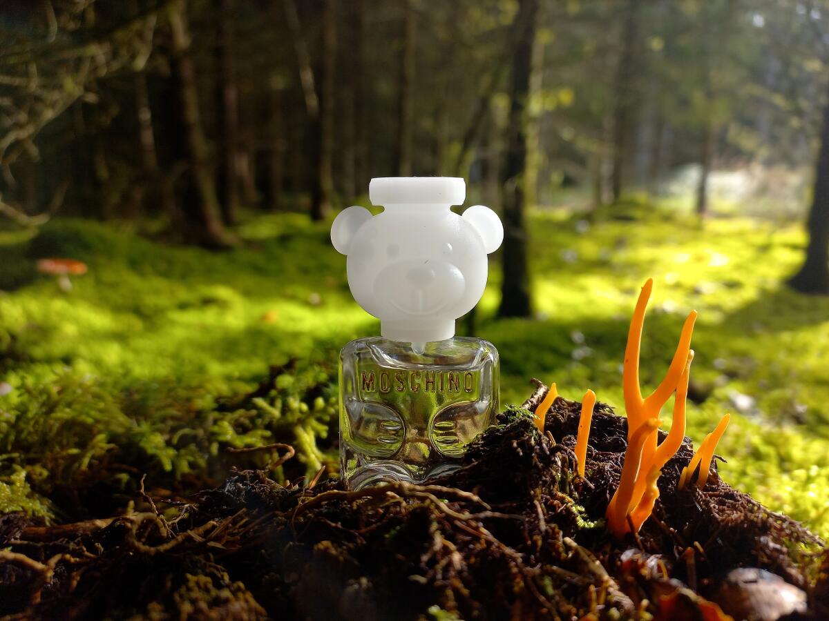 Toy 2 Moschino parfem - parfem za žene 2018