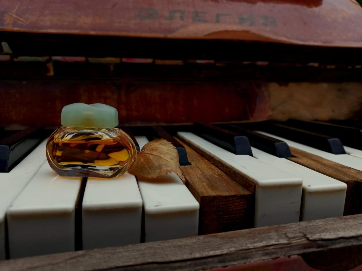 Knowing Estée Lauder perfume - a fragrância Feminino 1988