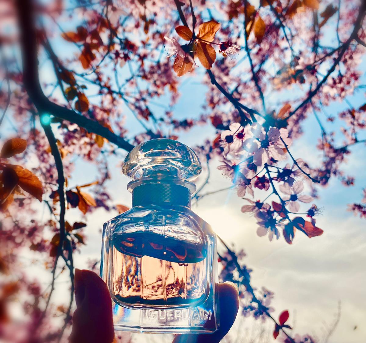 Mon Guerlain Guerlain parfem - parfem za žene 2017