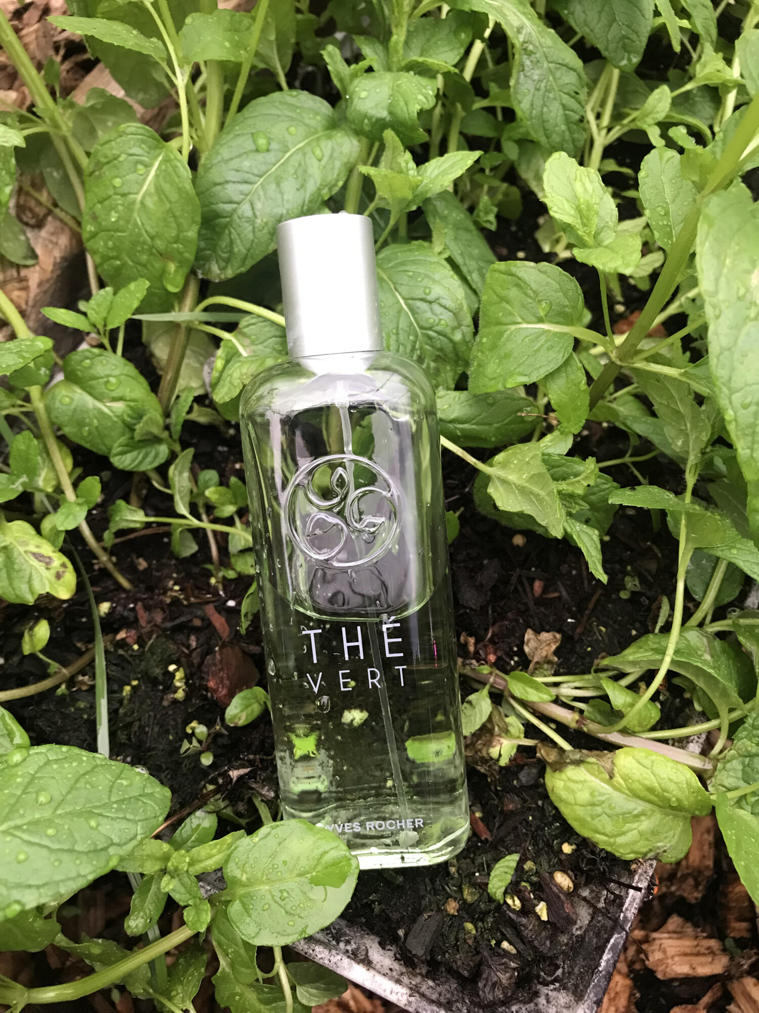 The Vert Yves Rocher parfum - un parfum pour homme et femme 2015
