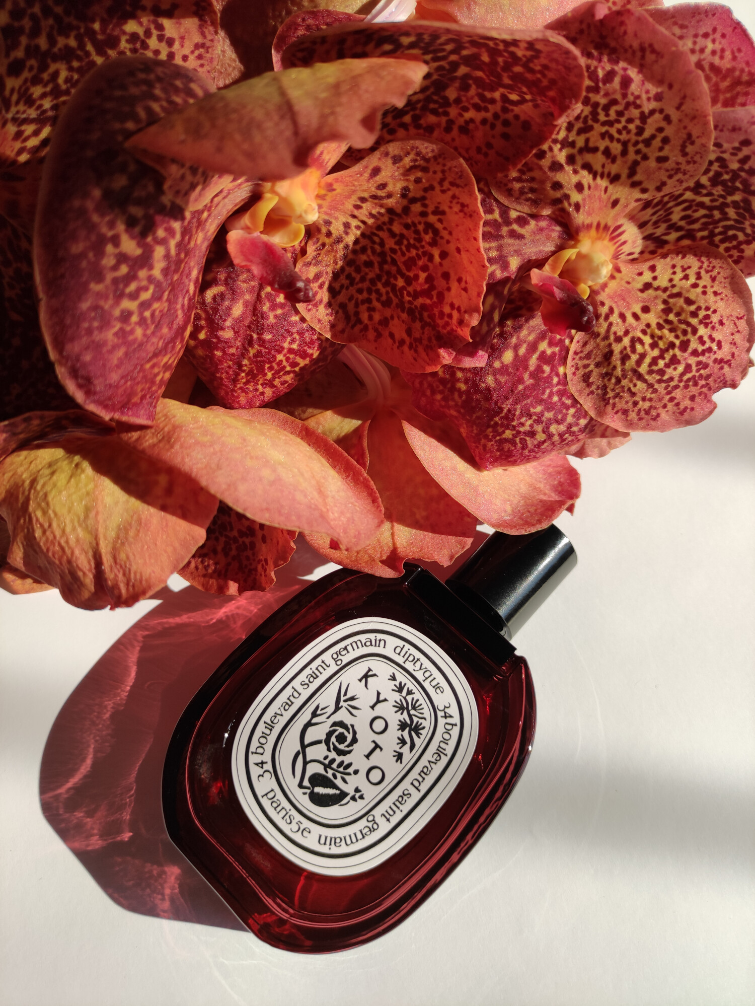 Kyoto Diptyque parfum - un parfum pour homme et femme 2021