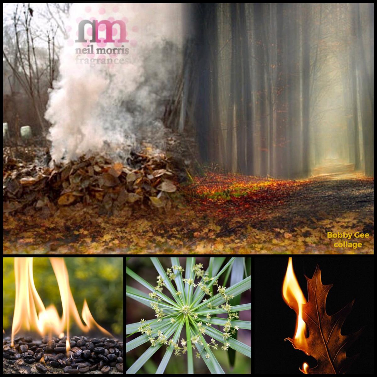 Chasing Autumn Neil Morris parfém - a vůně pro ženy a muže 2014