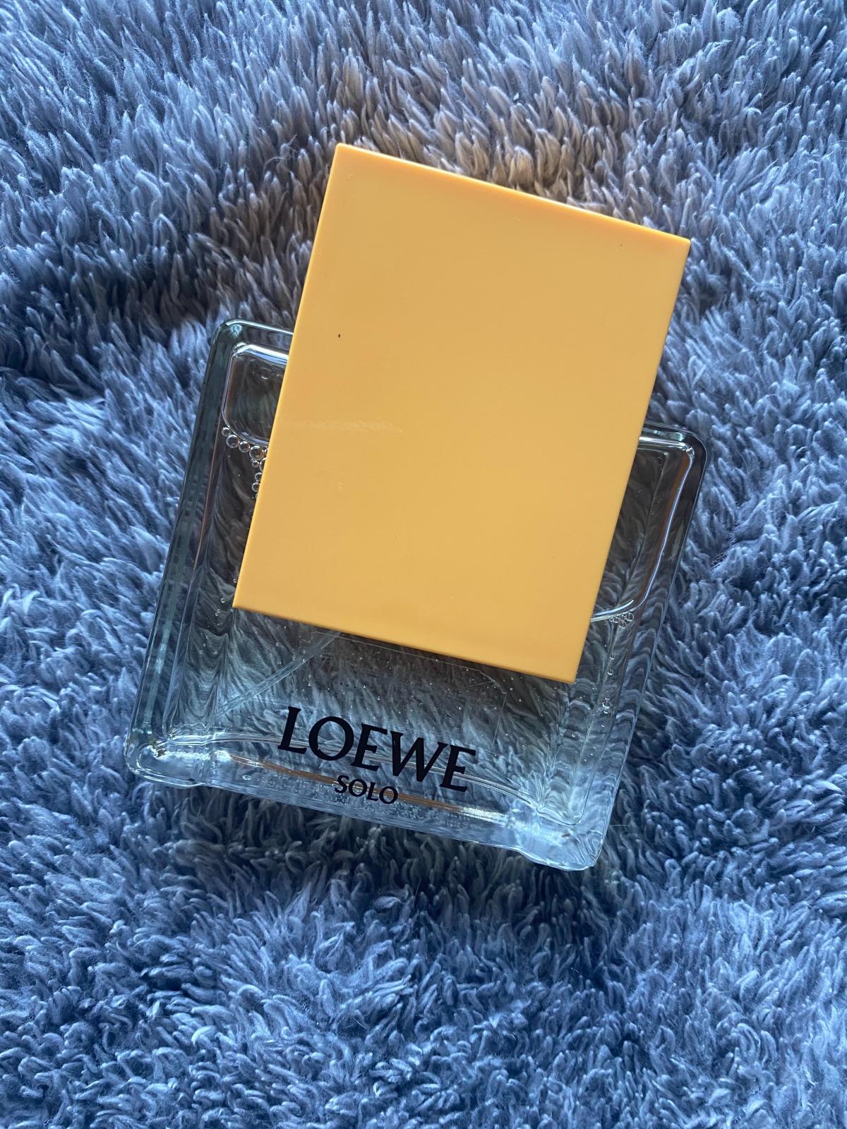Solo Loewe Ella Eau de Toilette Loewe perfume - a fragrância Feminino 2020