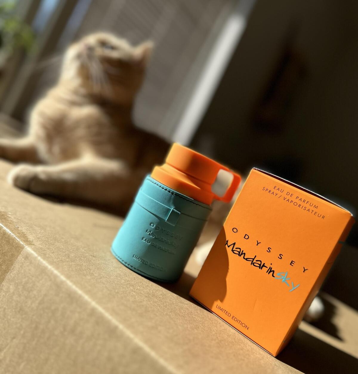 Odyssey Mandarin Sky Armaf κολόνια - ένα νέο άρωμα για άνδρες 2023