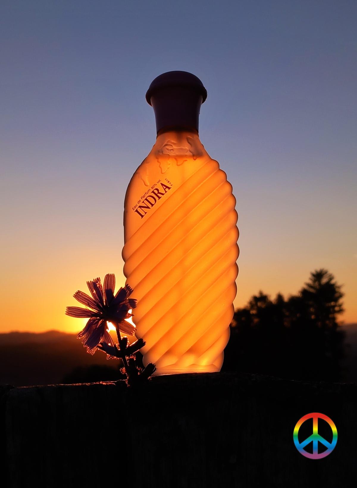 Indra Ulric de Varens perfume - a fragrância Feminino