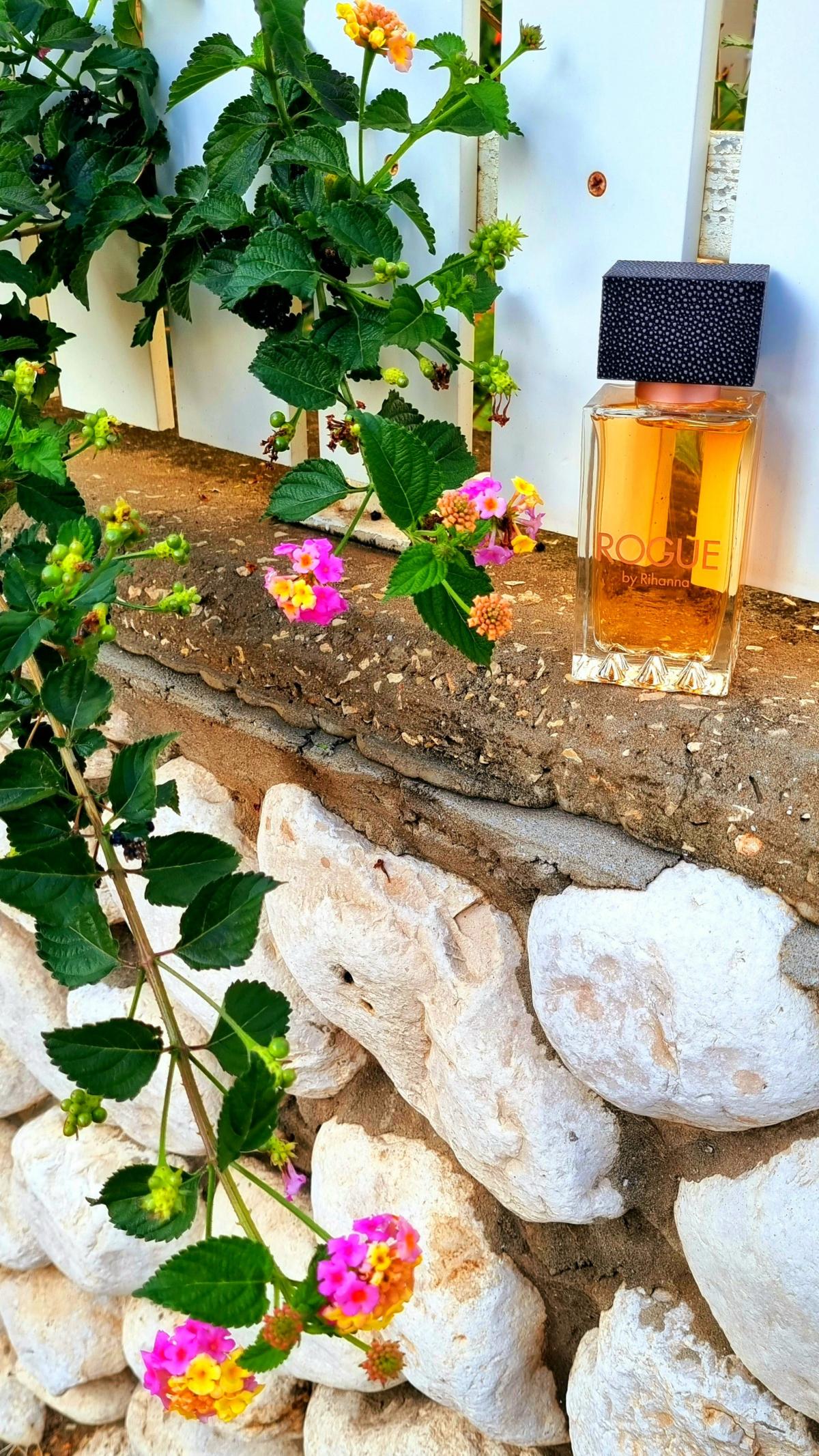 Rogue Rihanna fragancia - una fragancia para Mujeres 2013