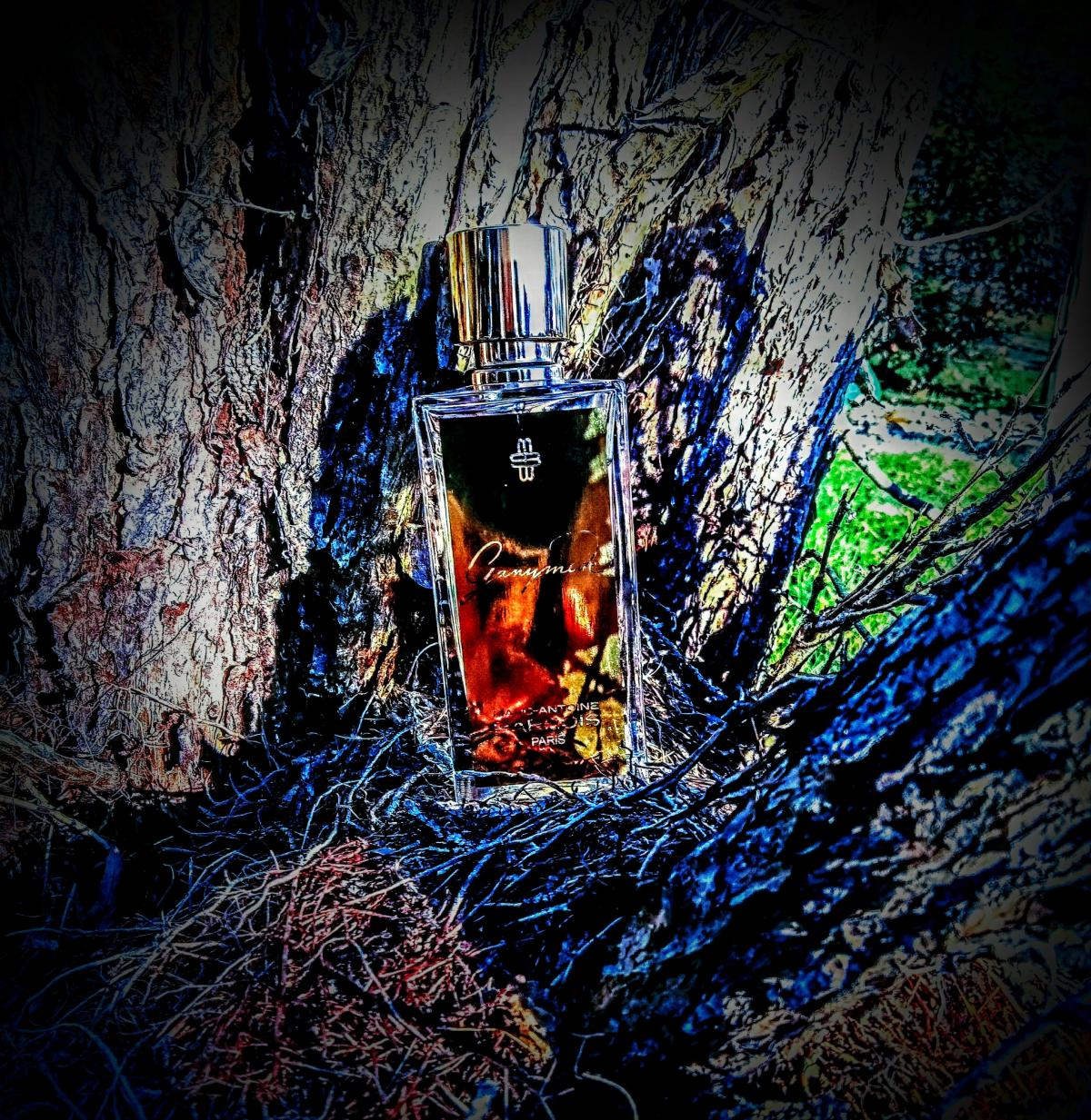 Ganymede Marc-Antoine Barrois parfum - un parfum unisex 2019