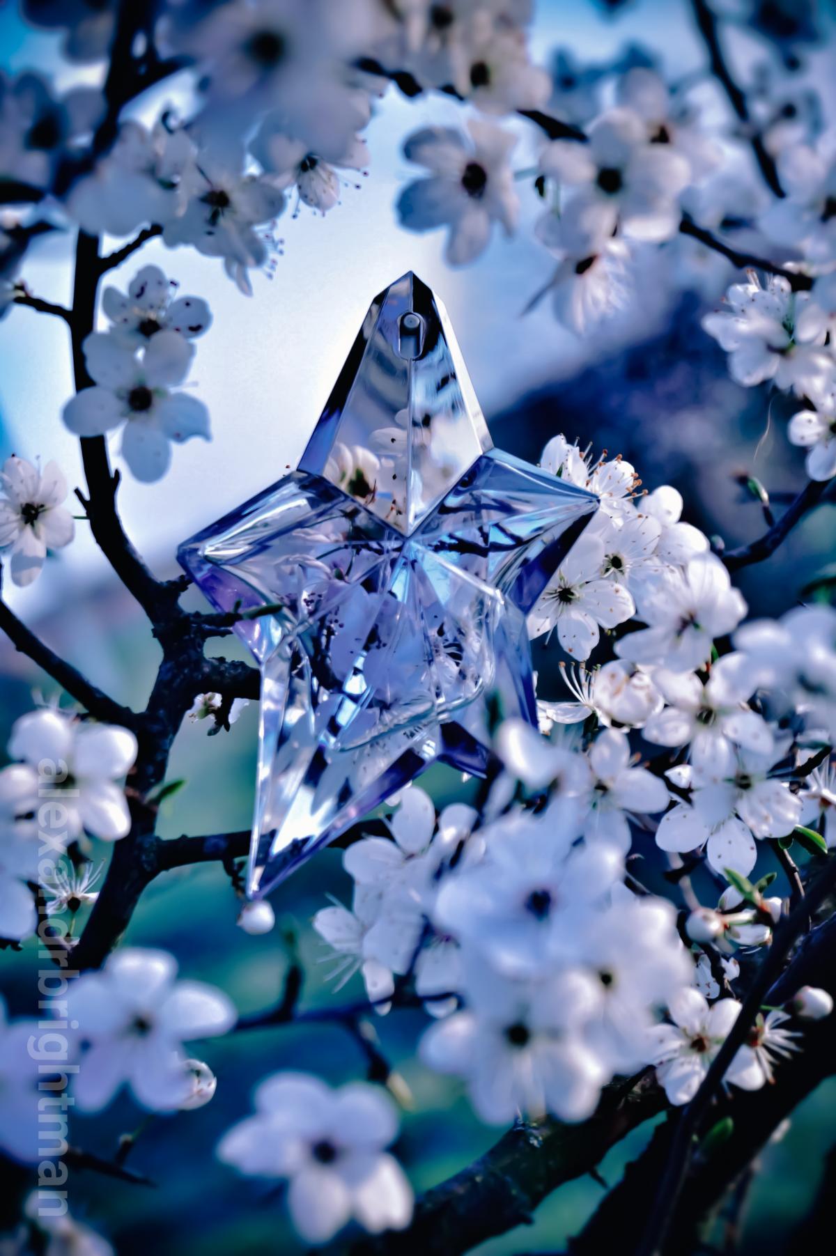 Angel Mugler Parfum - ein es Parfum für Frauen 1992