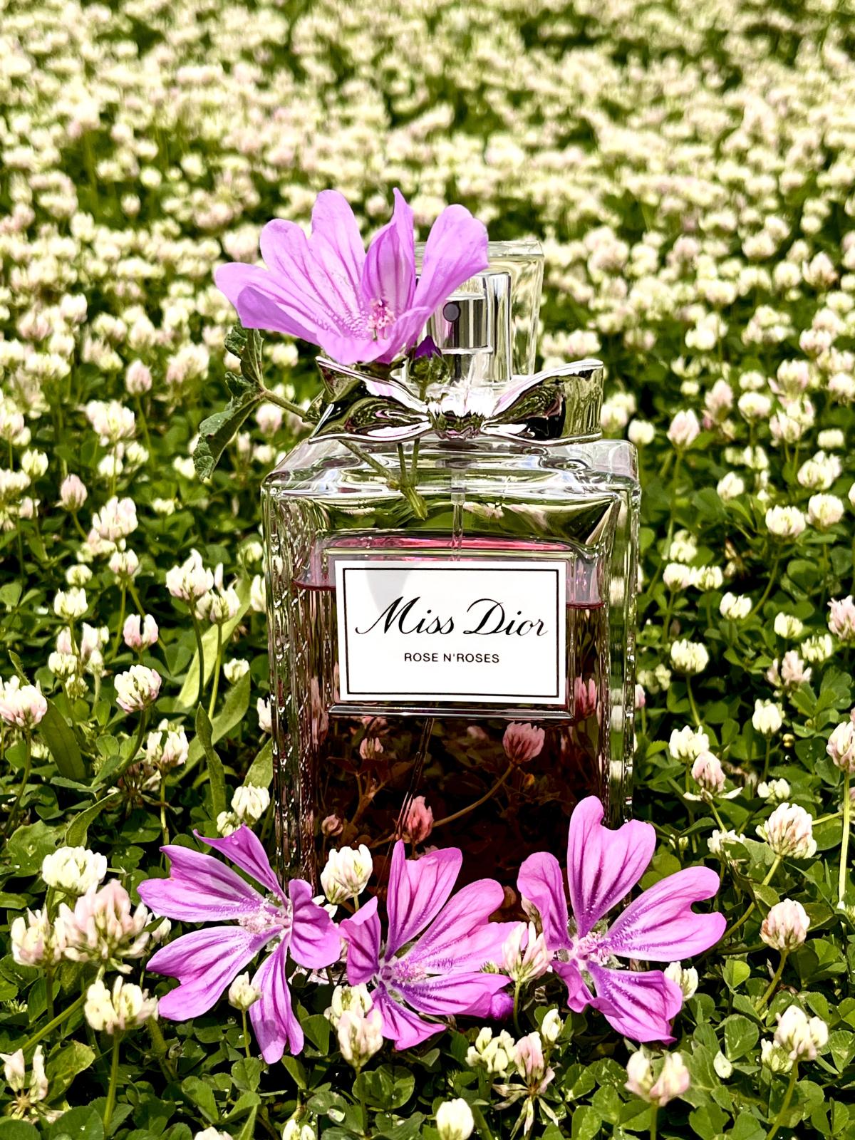Miss Dior Rose N'Roses Dior parfém - a vůně pro ženy 2020