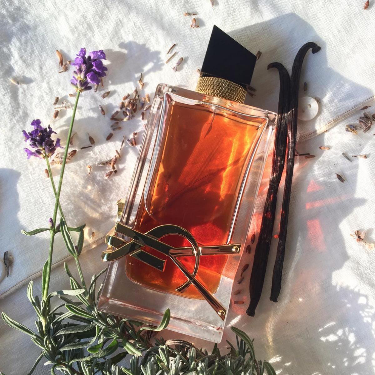 Libre Intense Yves Saint Laurent parfem - parfem za žene 2020