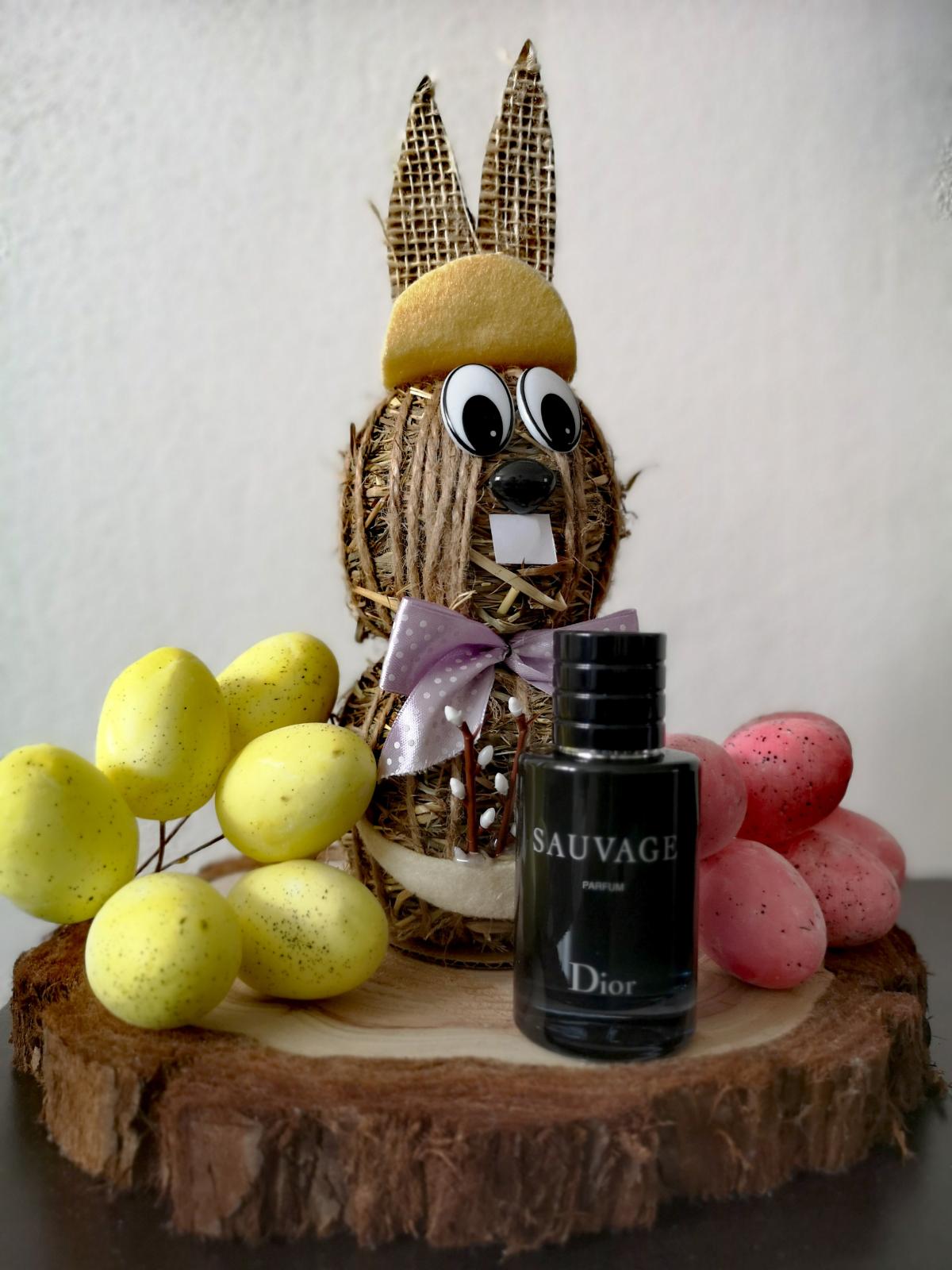 Sauvage Parfum Dior Cologne - ein es Parfum für Männer 2019