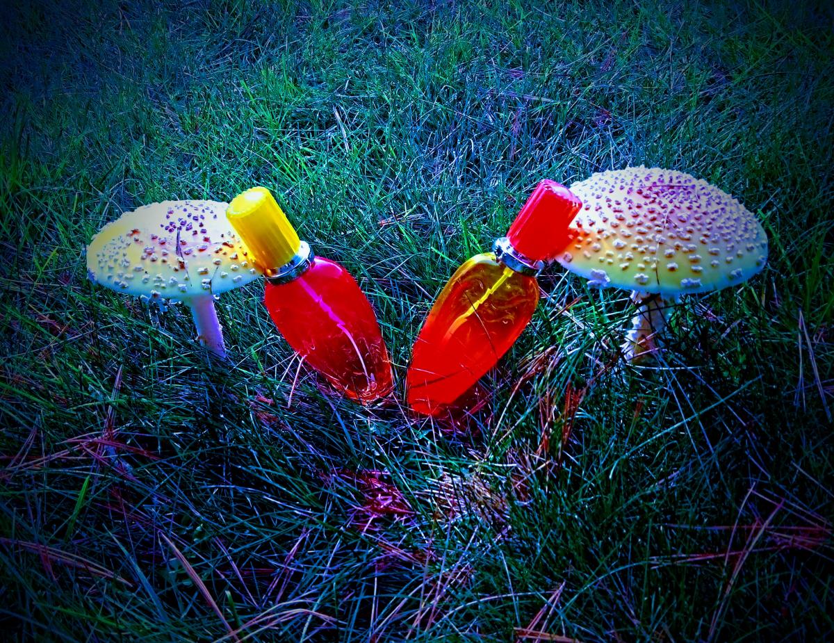 Sunset Heat Escada аромат — аромат для женщин 2007