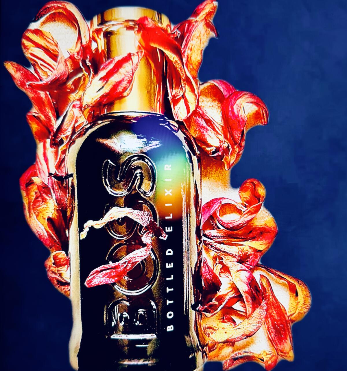 Boss Bottled Elixir Hugo Boss - una novità fragranza da uomo 2023