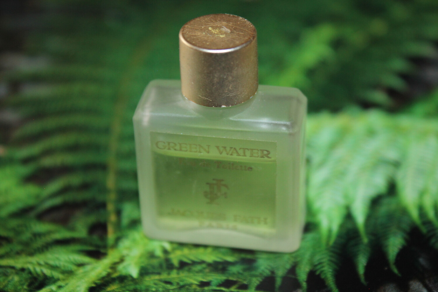 Green Water Jacques Fath Colônia - a fragrância Masculino 1993