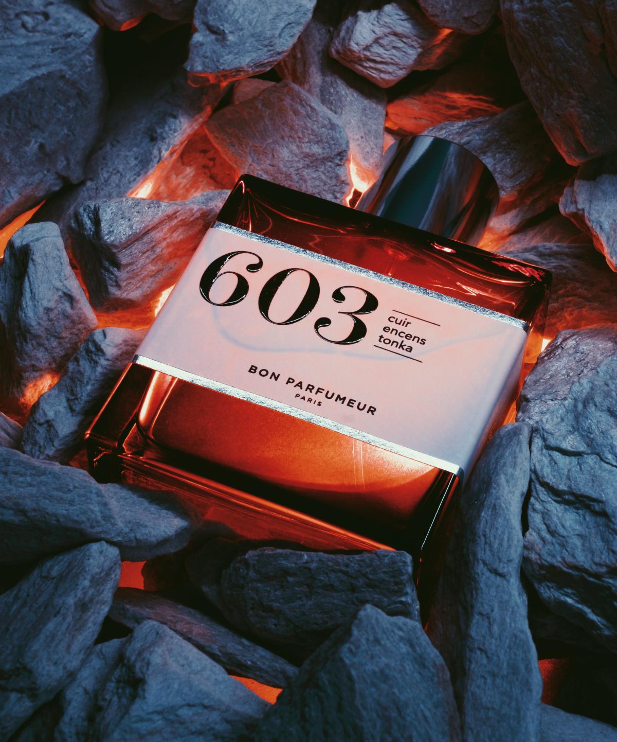 603 cuir, encens, fève tonka Bon Parfumeur perfume - a fragrância ...