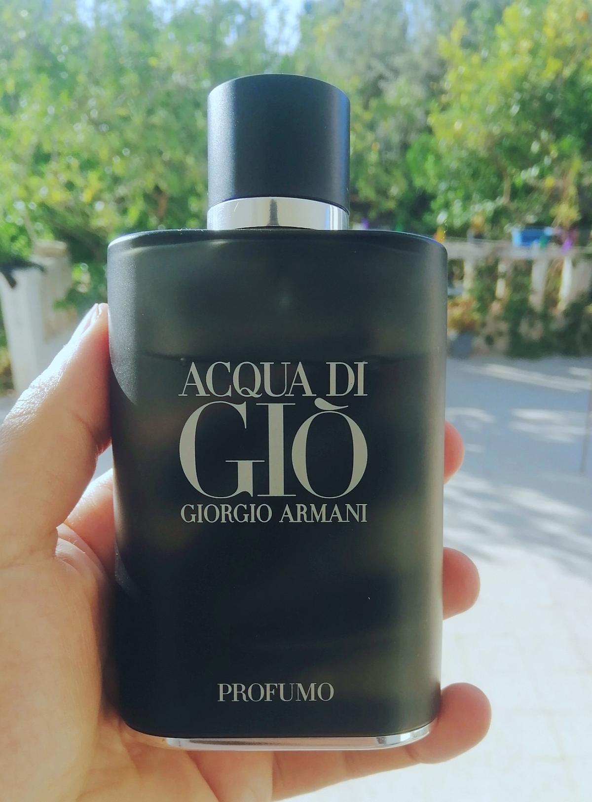 Acqua di Giò Profumo Giorgio Armani Kolonjska voda - parfem za muškarce ...