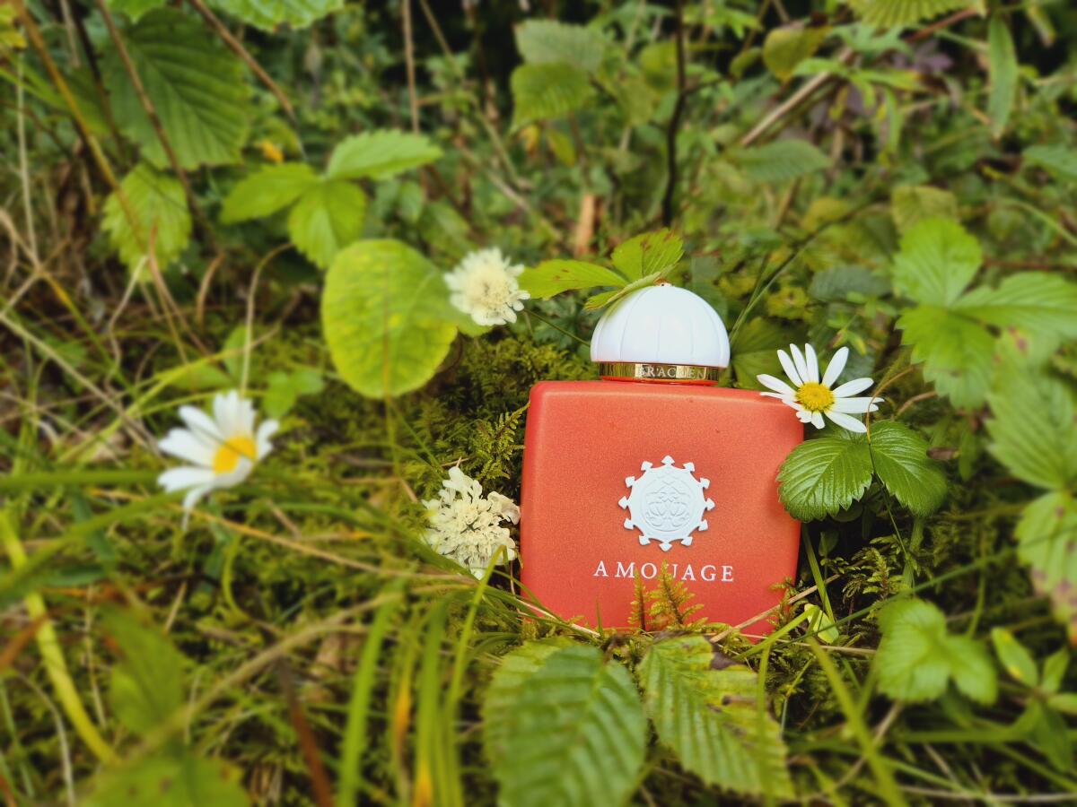 Bracken Woman Amouage parfem - parfem za žene 2016