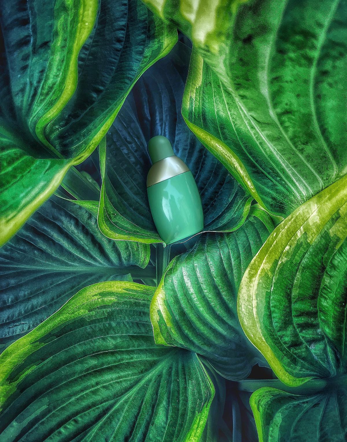 Eden Cacharel perfume - a fragrância Feminino 1994