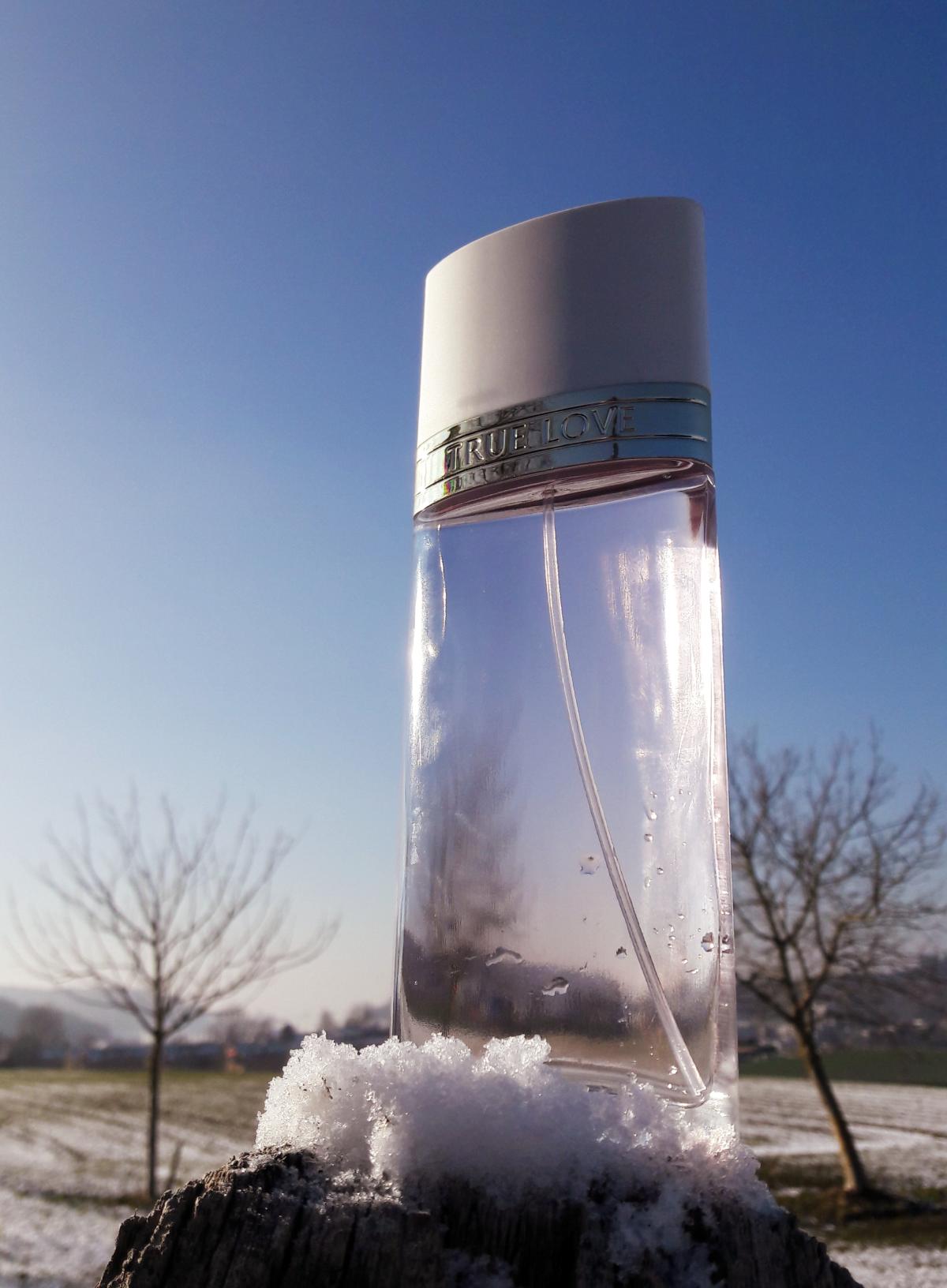 True Love Elizabeth Arden perfume - a fragrância Feminino 1994