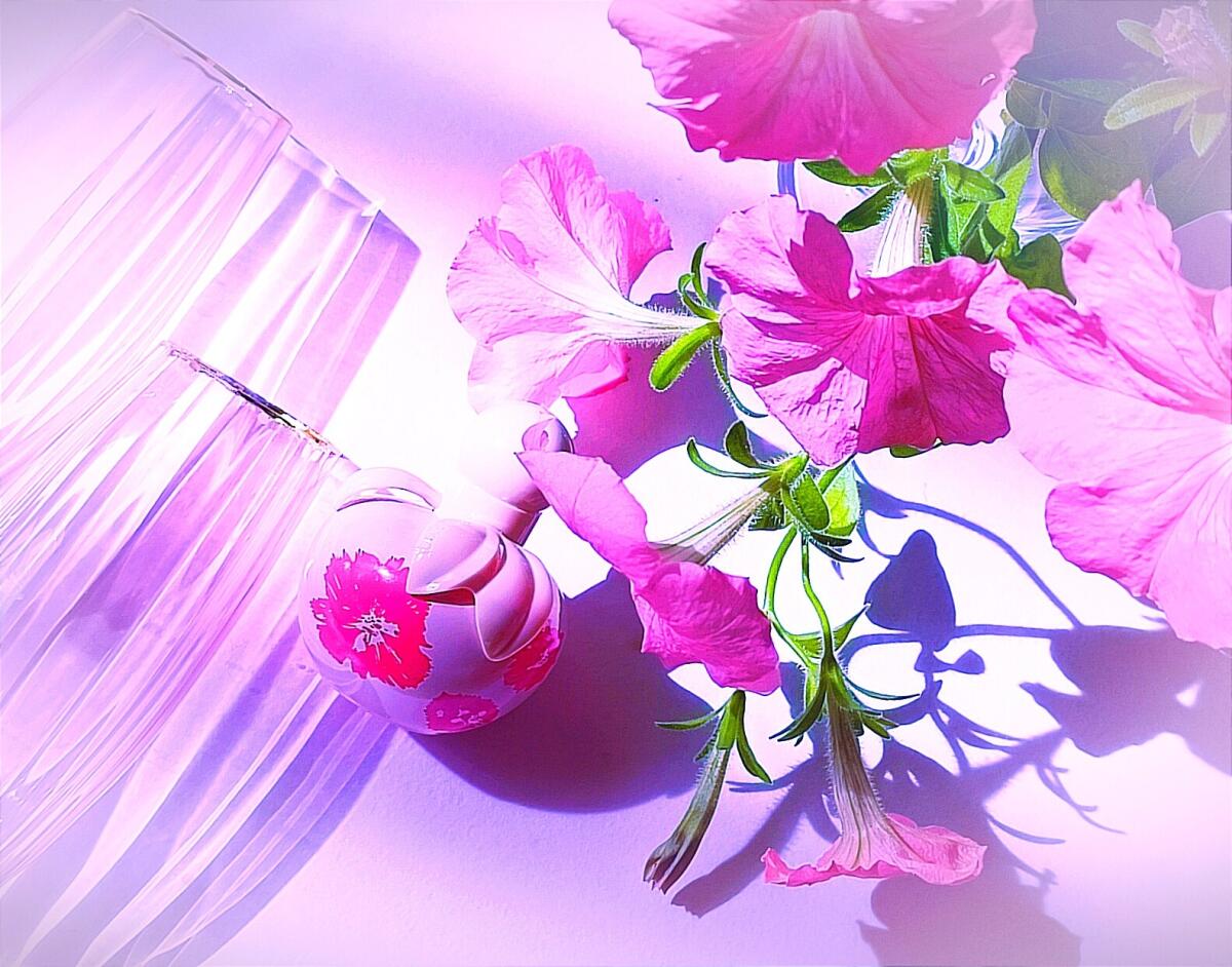 Nina Fleur Nina Ricci fragancia - una nuevo fragancia para Mujeres 2022