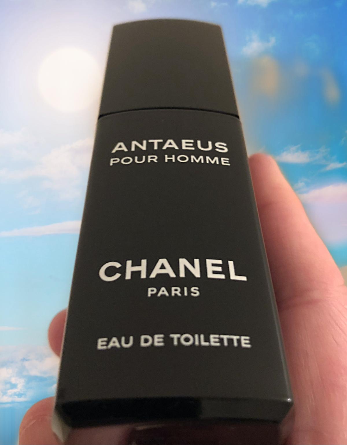 Antaeus Chanel Colônia - a fragrância Masculino 1981