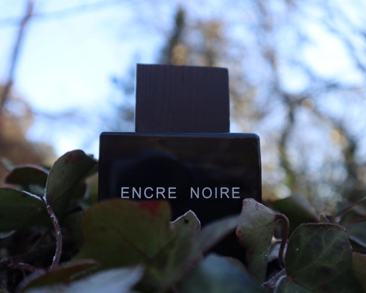 Encre Noire Lalique одеколон — аромат для мужчин 2006