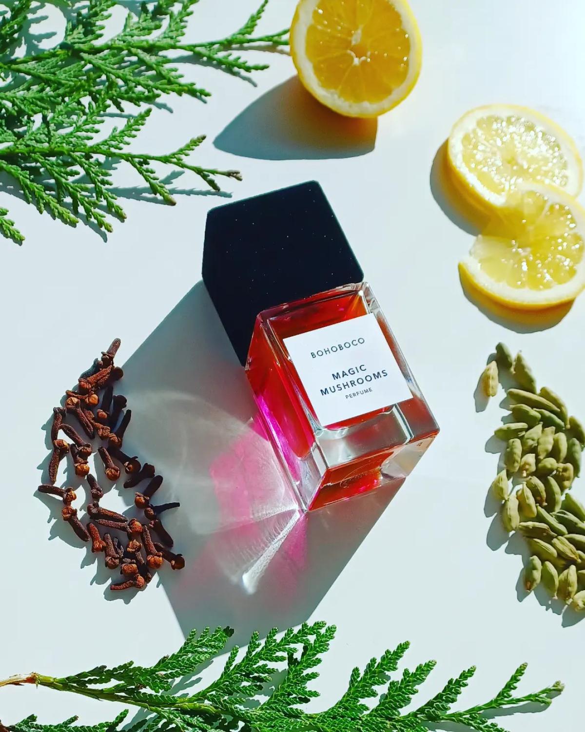 Magic Mushrooms Bohoboco perfume - a novo fragrância Compartilhável 2024