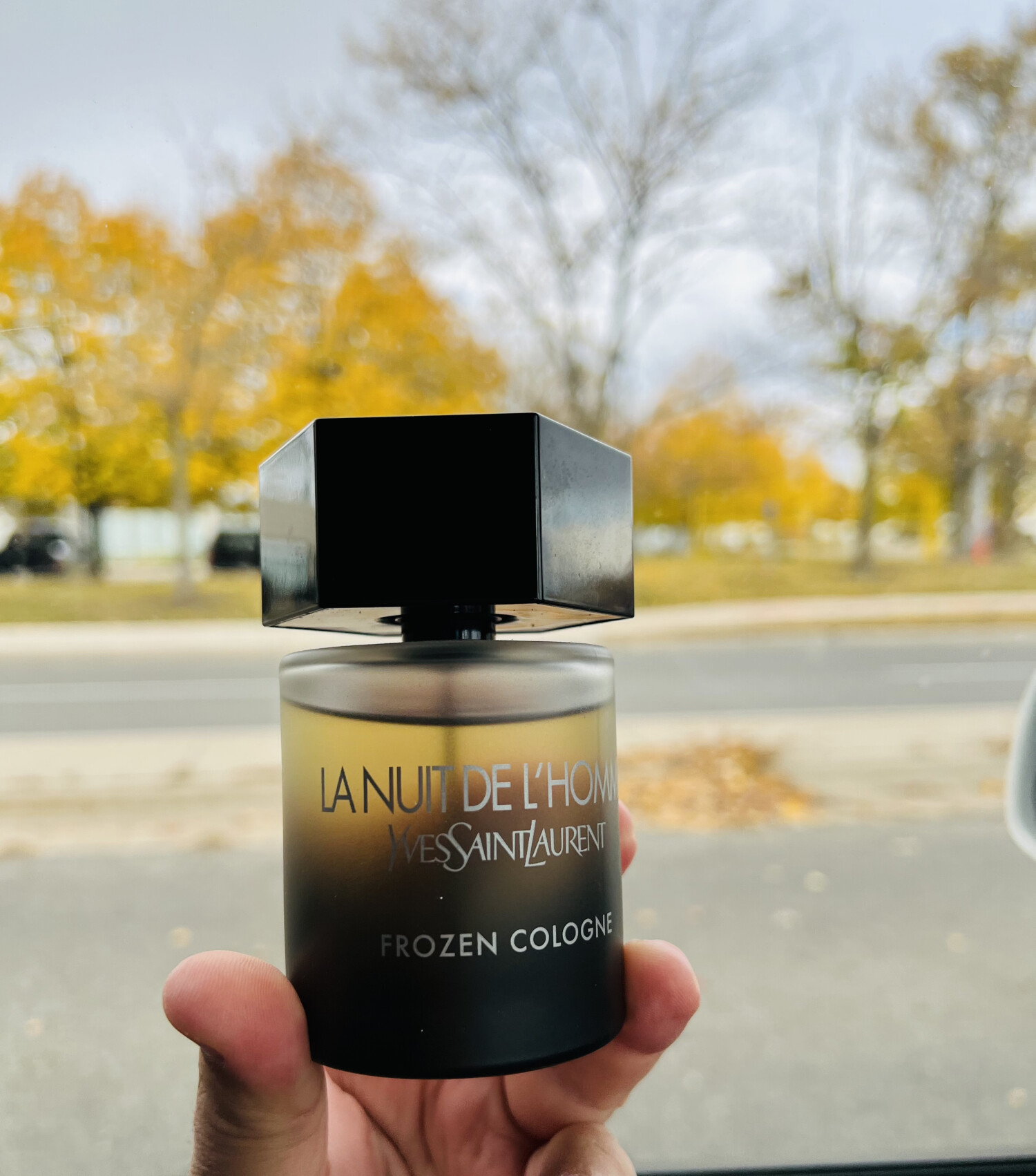 La Nuit de l'Homme Frozen Cologne Yves Saint Laurent Colônia - a ...