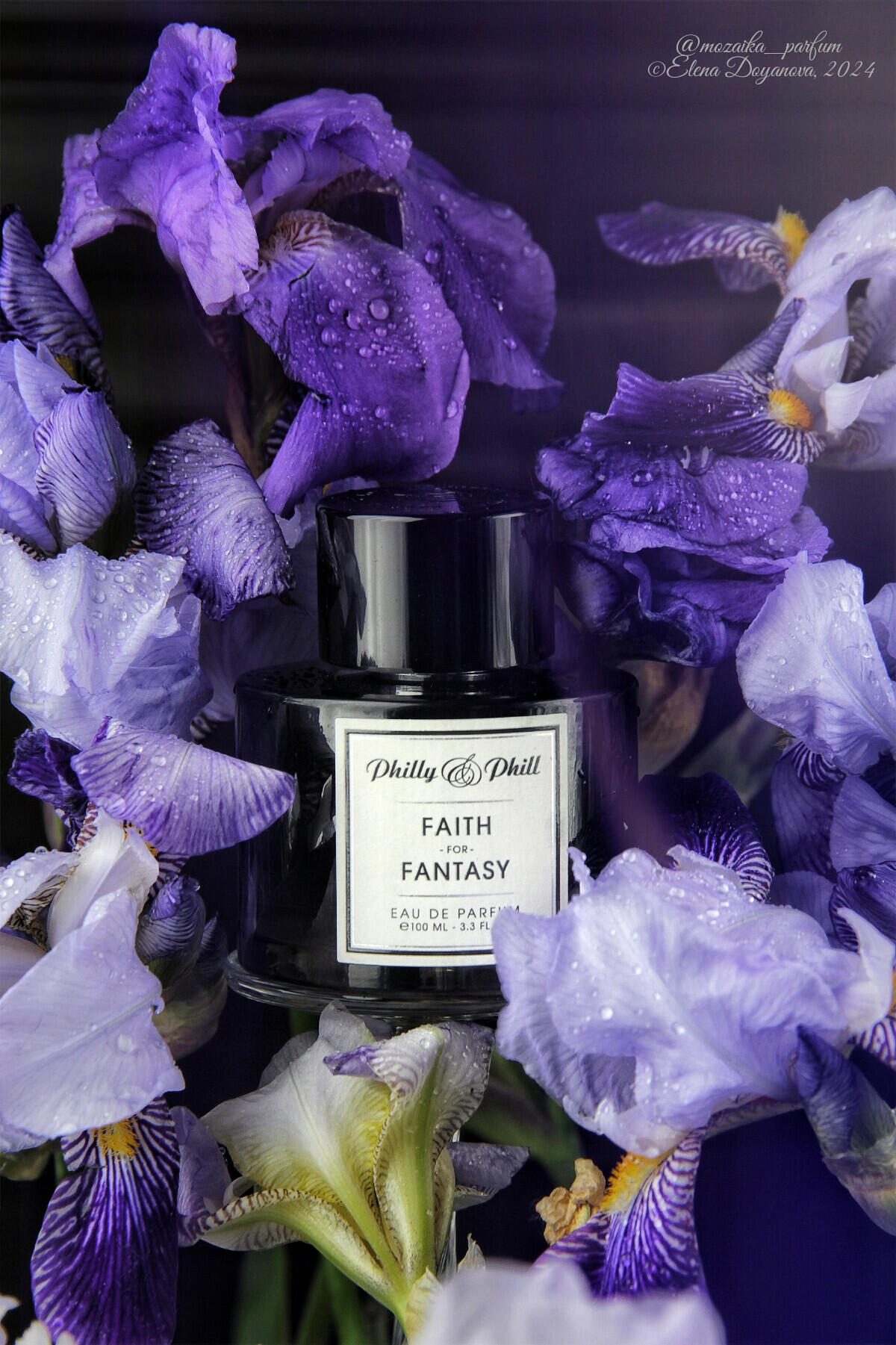 Faith for Fantasy Philly&Phill parfum - un nouveau parfum pour homme et ...
