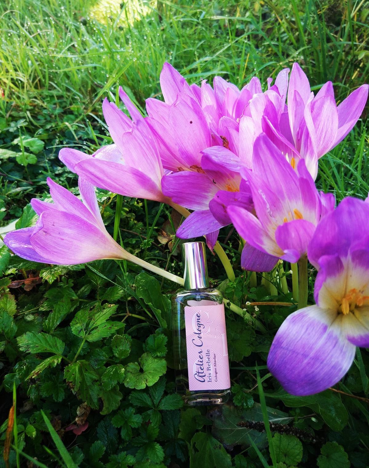 Iris Rebelle Atelier Cologne parfem - parfem za žene i muškarce 2018