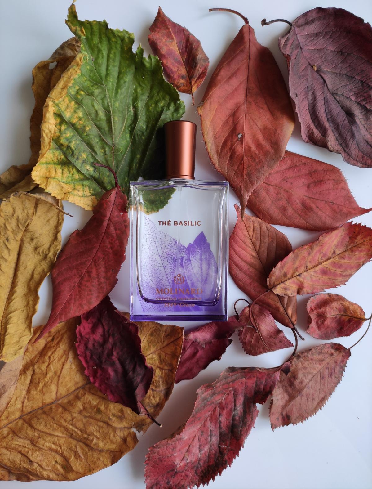 Thé Basilic Molinard fragancia - una fragancia para Hombres y Mujeres 2019