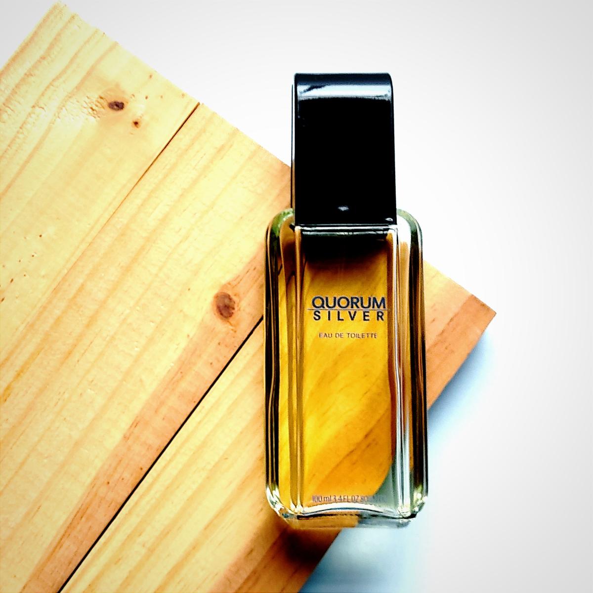 Quorum Silver Antonio Puig Cologne - un parfum pour homme 2005