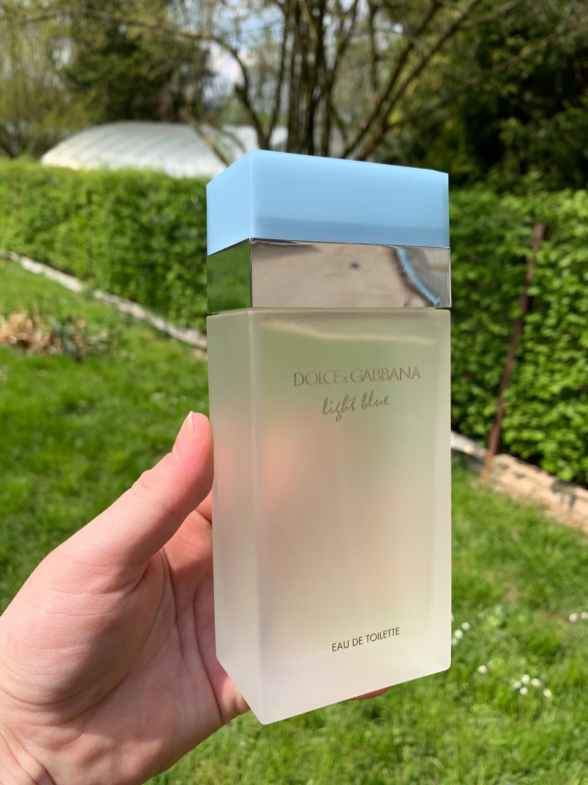 Light Blue Dolce&Gabbana parfem - parfem za žene 2001