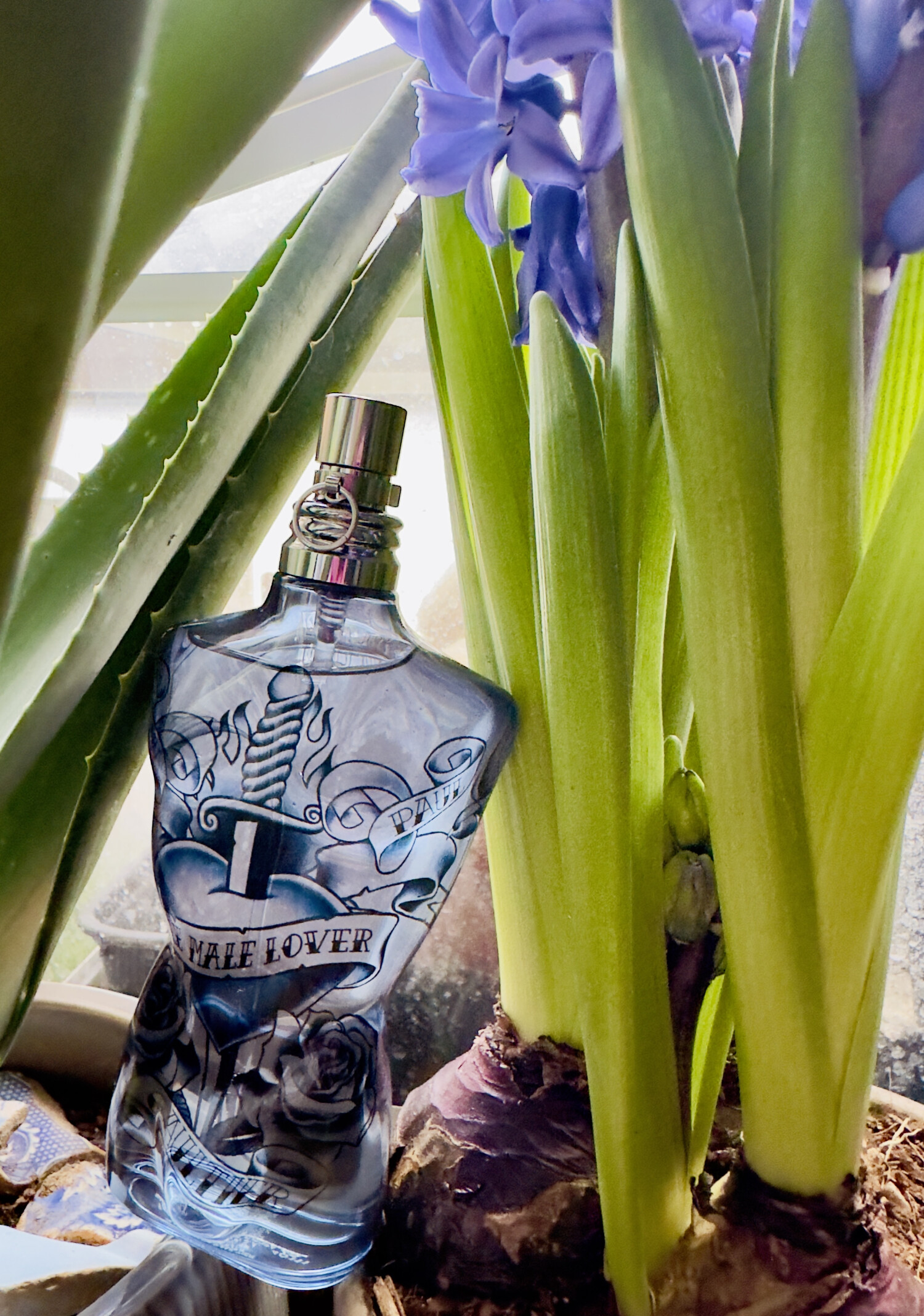Le Male Lover Jean Paul Gaultier Cologne Un Nouveau Parfum Pour Homme