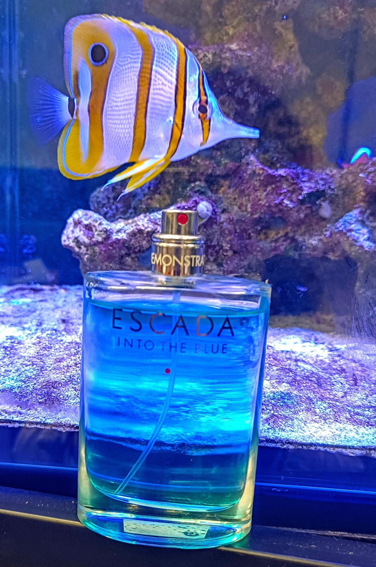 Into the Blue Escada parfem - parfem za žene 2006