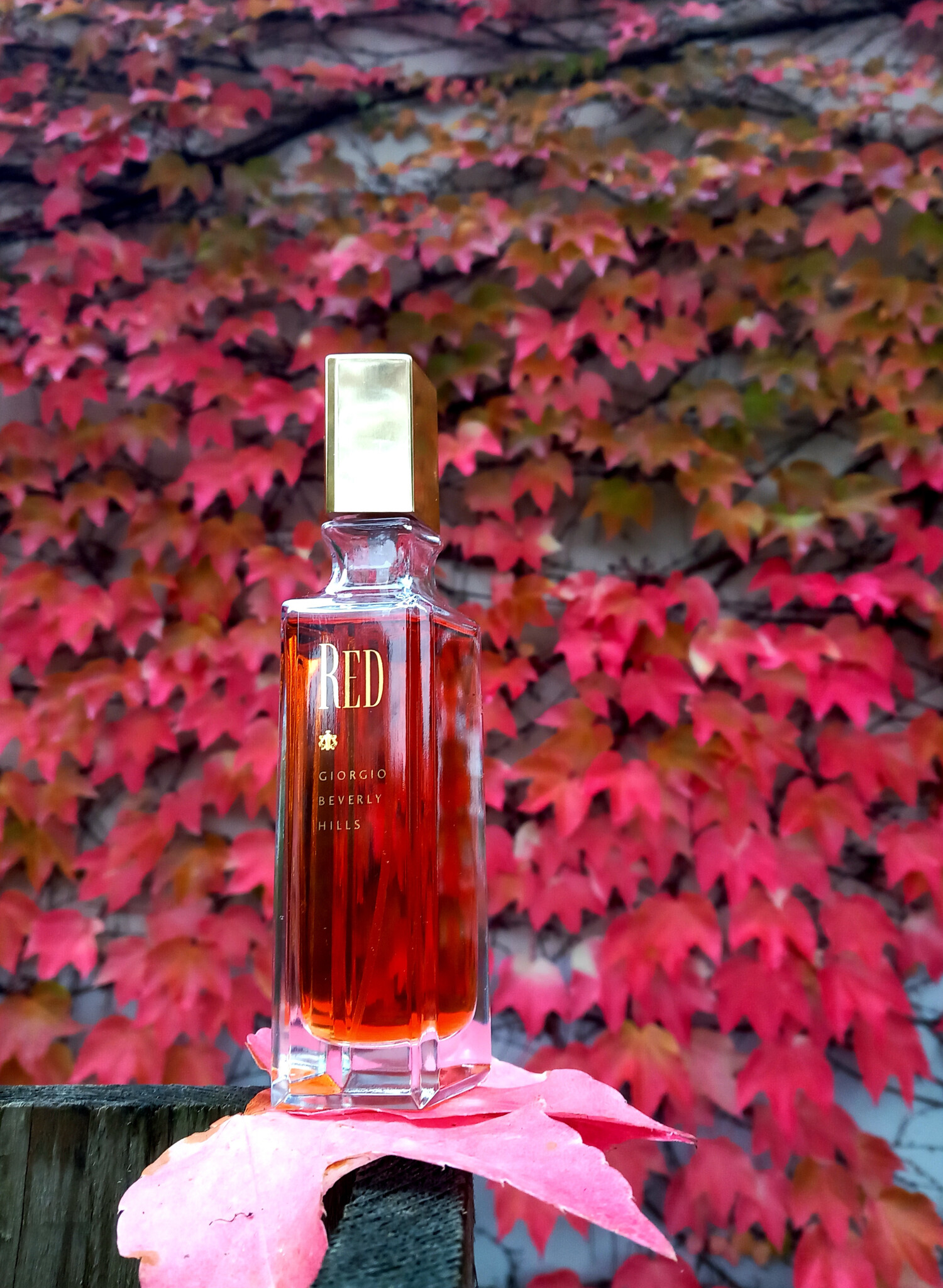 Red Giorgio Beverly Hills Parfum - ein es Parfum für Frauen 1989