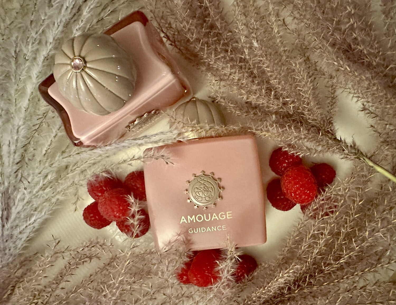 Guidance 46 Amouage perfume - a novo fragrância Compartilhável 2024