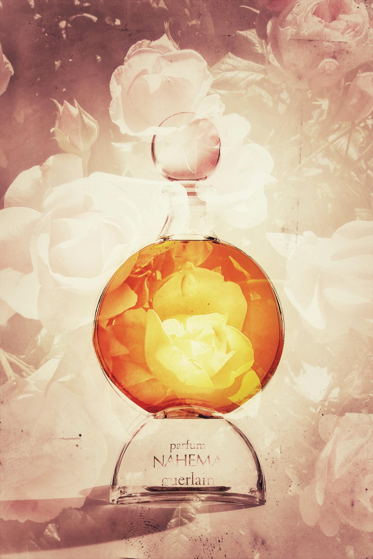 Nahema Guerlain fragancia - una fragancia para Mujeres 1979