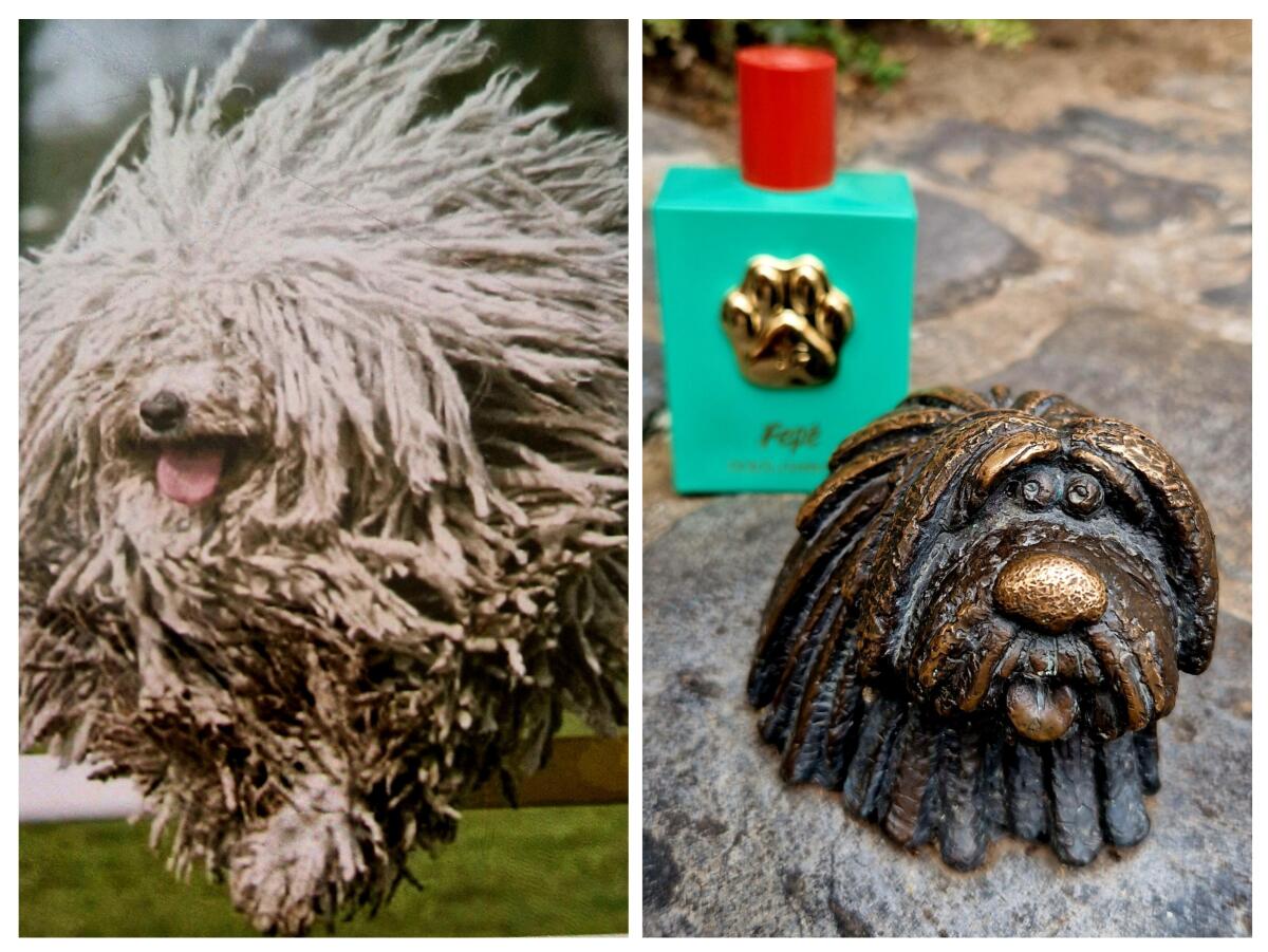 Fefé Dolce&Gabbana parfem - novi parfem za žene i muškarce 2024