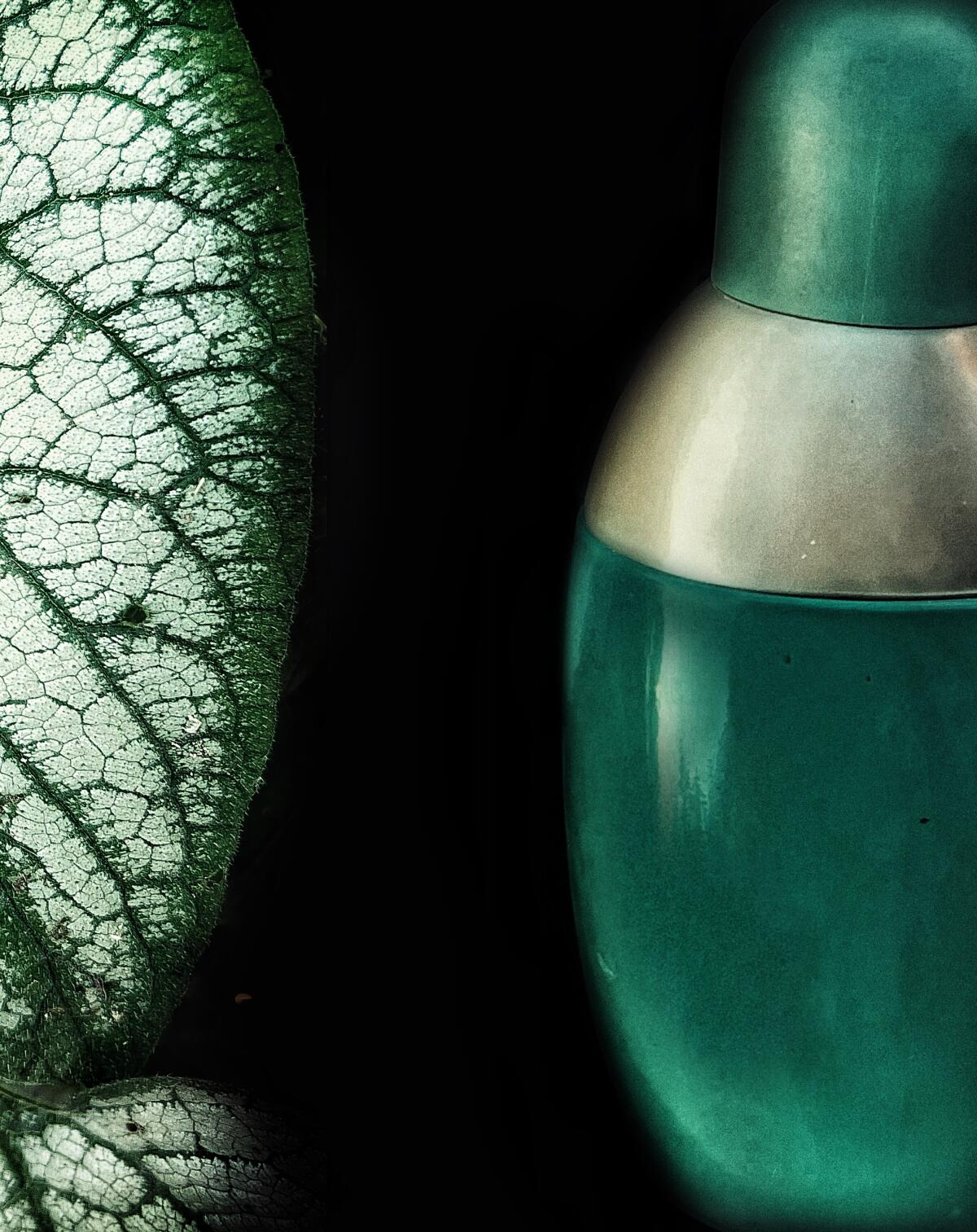 Eden Cacharel perfume - a fragrância Feminino 1994