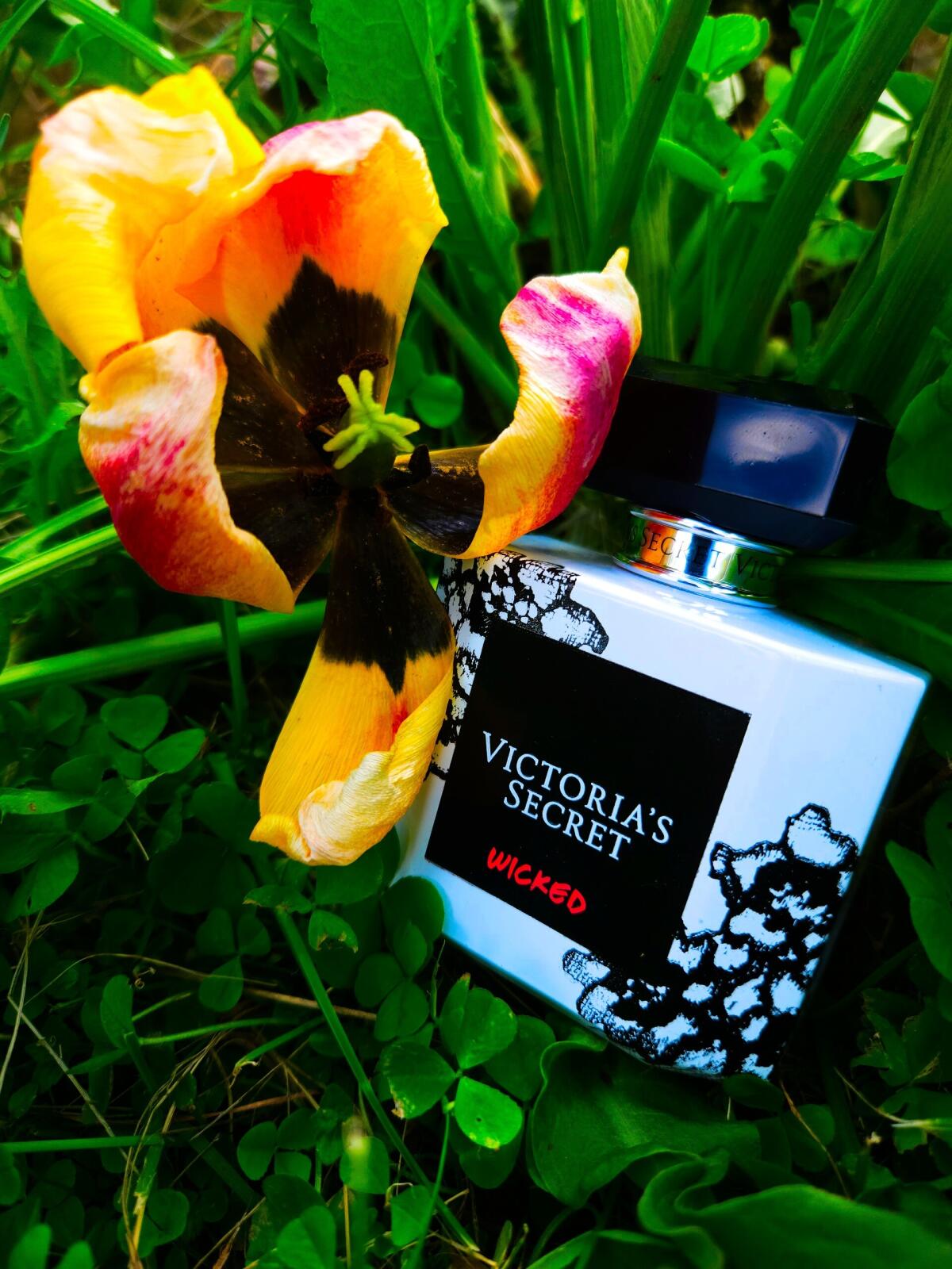 Wicked Eau de Parfum Victoria's Secret аромат — аромат для женщин 2017