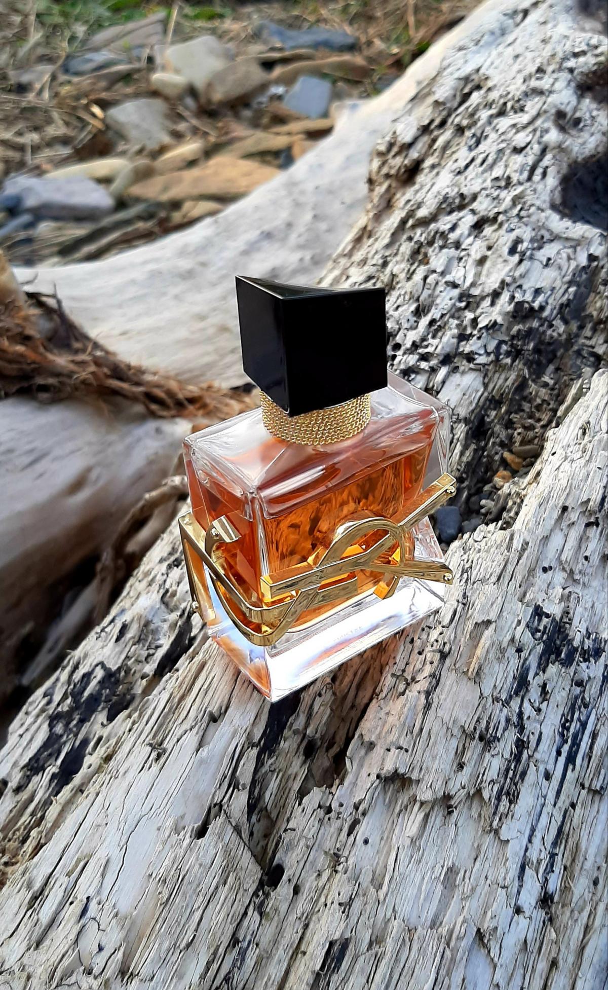 Libre Intense Yves Saint Laurent parfum - un nouveau parfum pour femme 2020