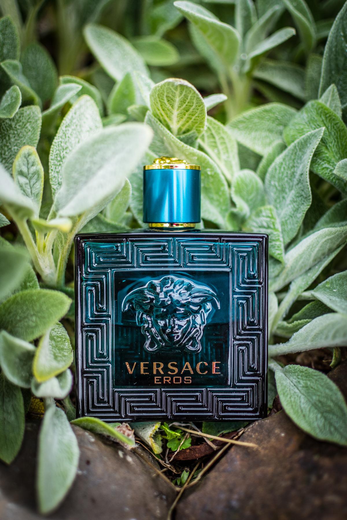 Eros Versace κολόνια - ένα άρωμα για άνδρες 2012