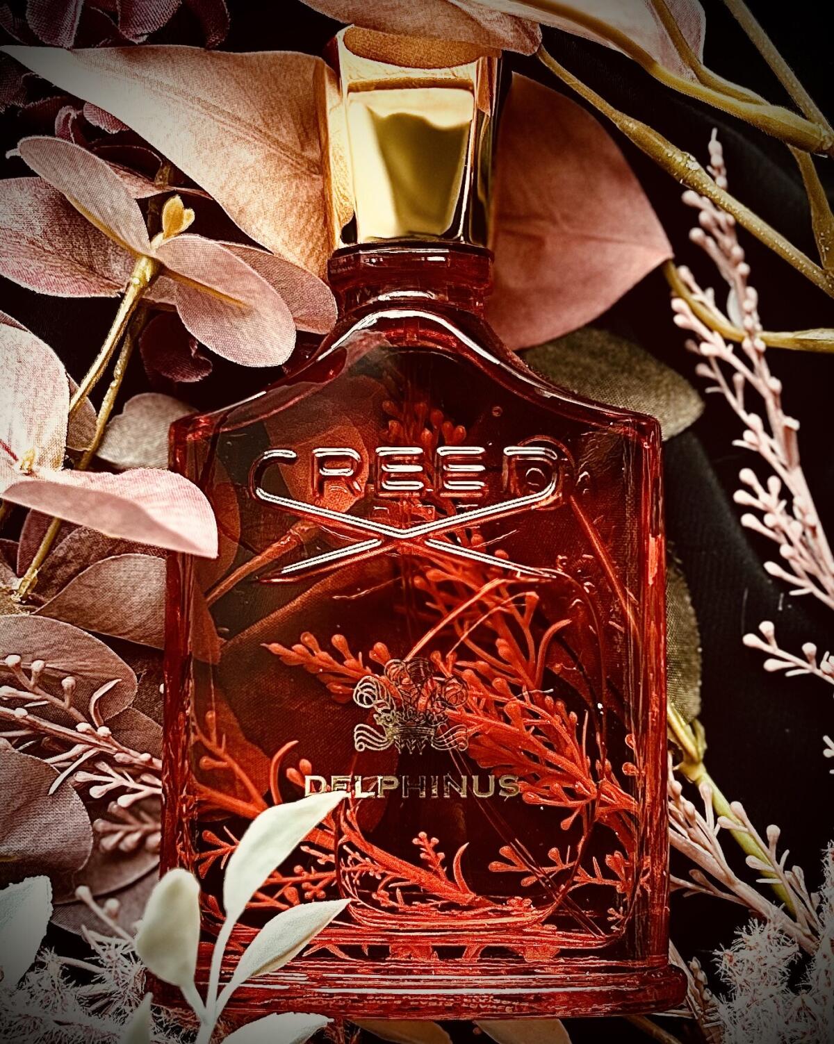 Delphinus Creed аромат — новый аромат для мужчин и женщин 2024