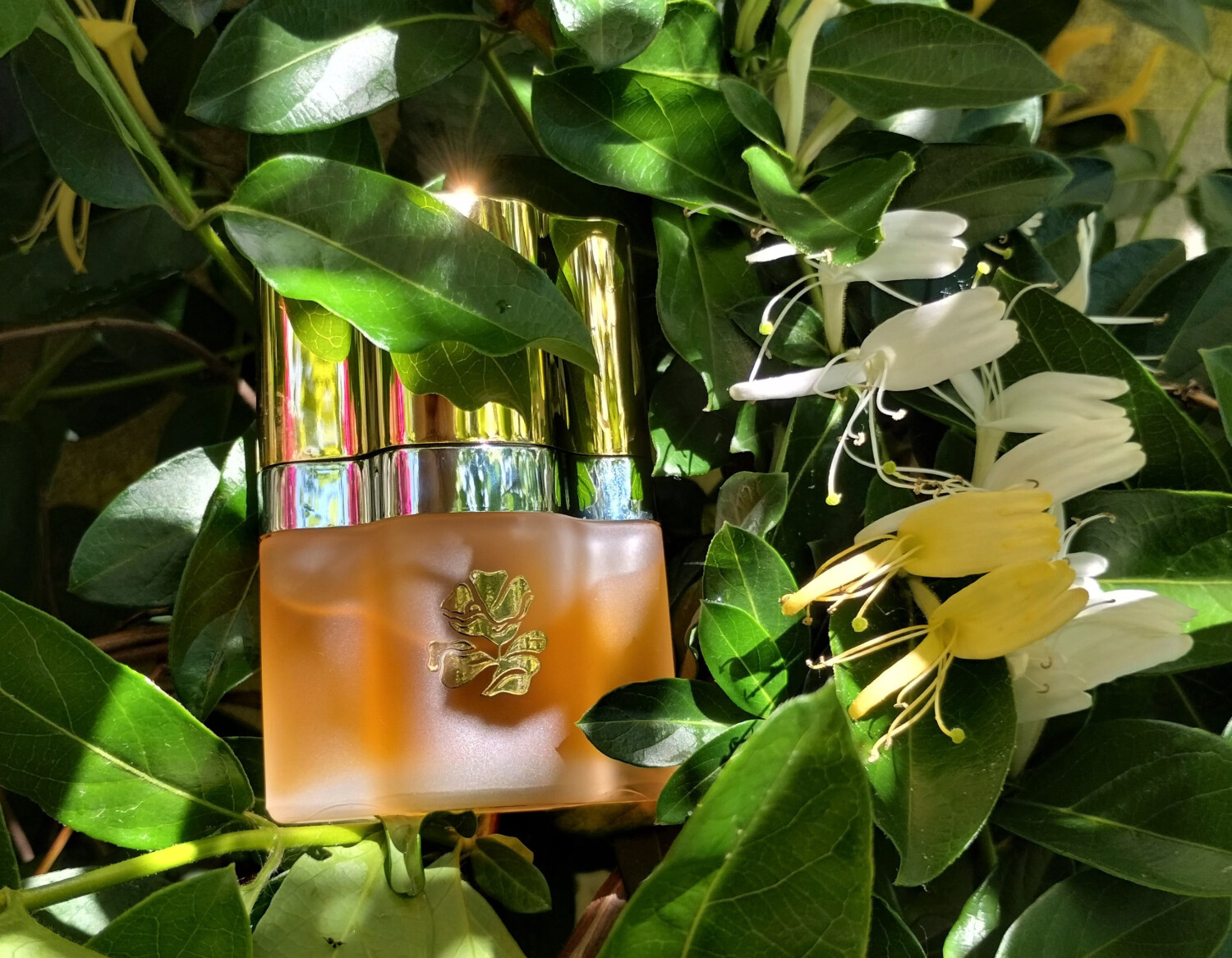 Oscar Oscar de la Renta parfum - un parfum pour femme 1977