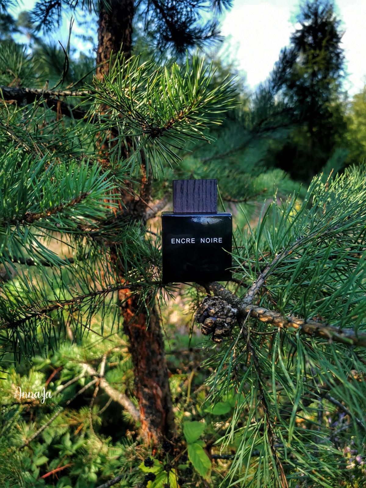 Encre Noire Lalique одеколон — аромат для мужчин 2006