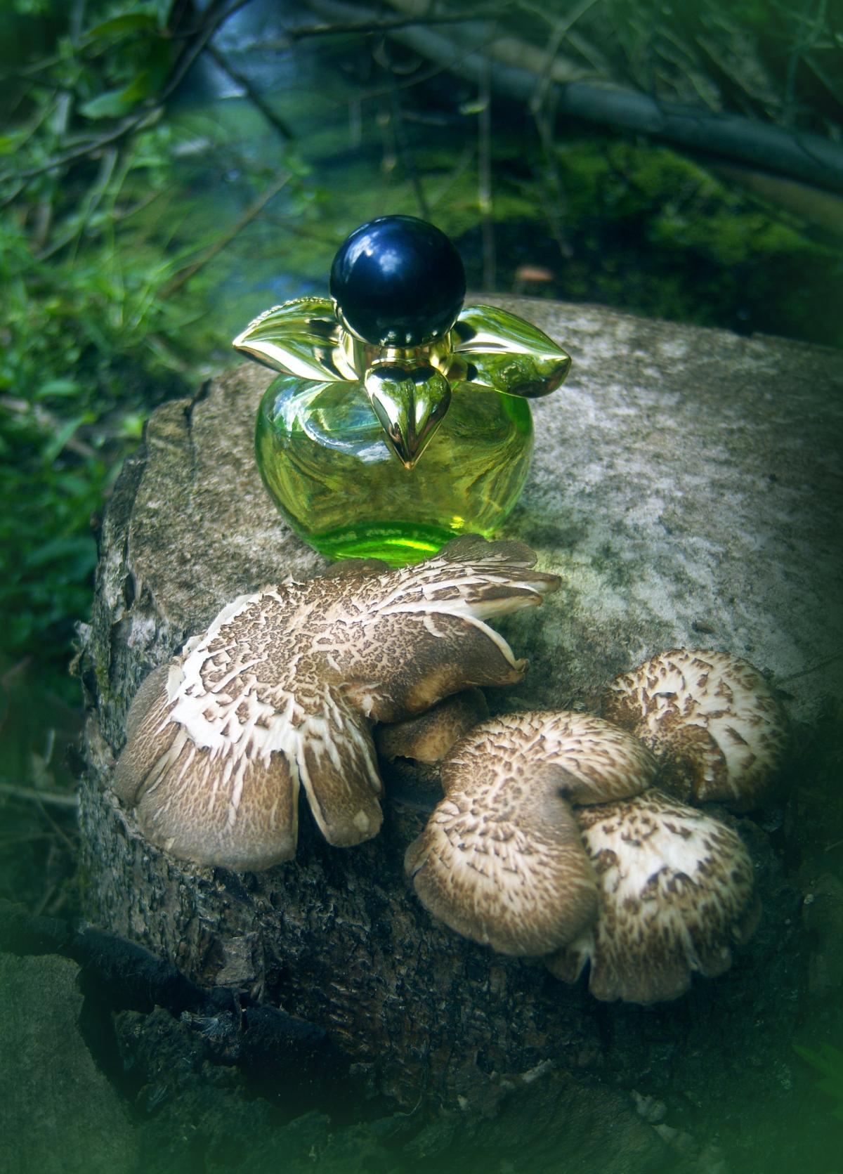 Bella Nina Ricci fragancia - una fragancia para Mujeres 2018