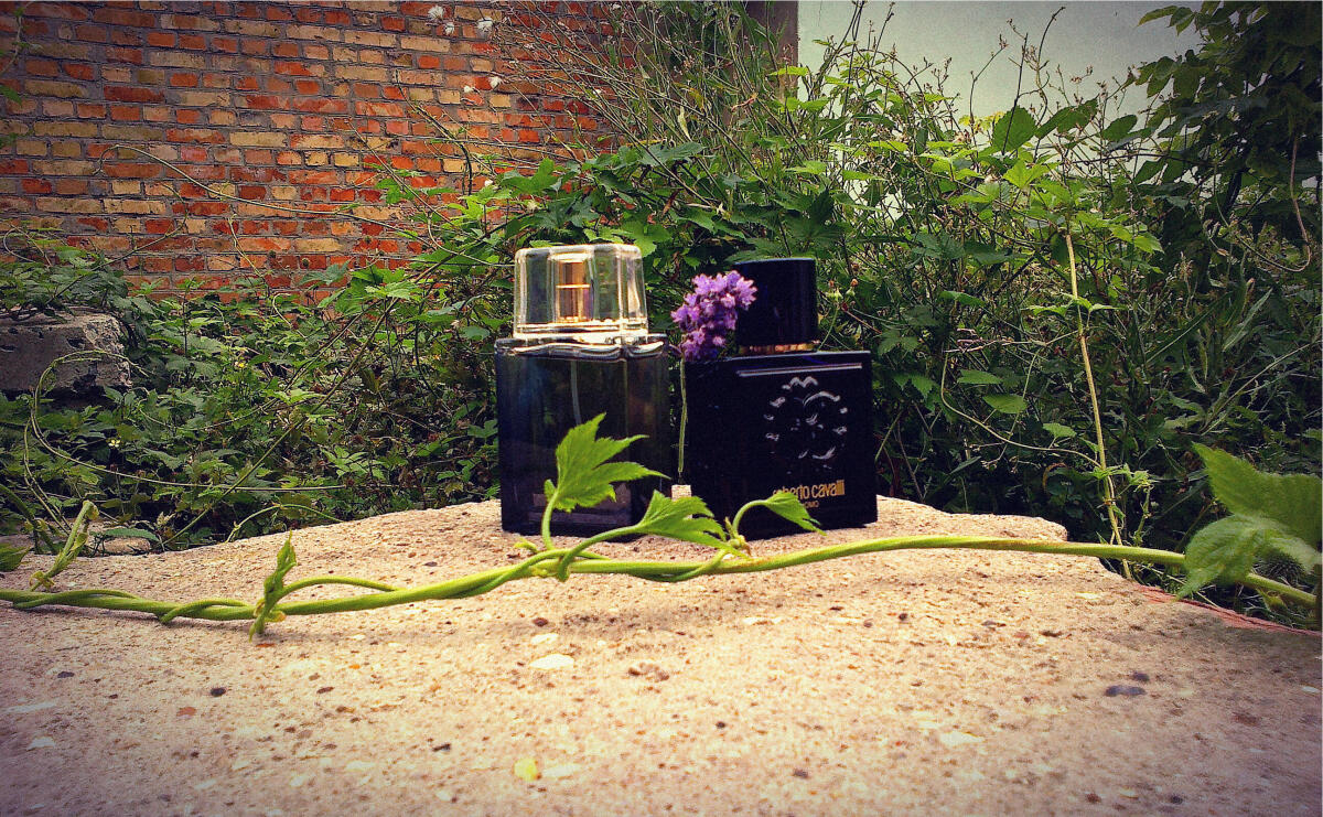 Today Tomorrow Always For Him Avon colonie - un parfum de barbati 2021