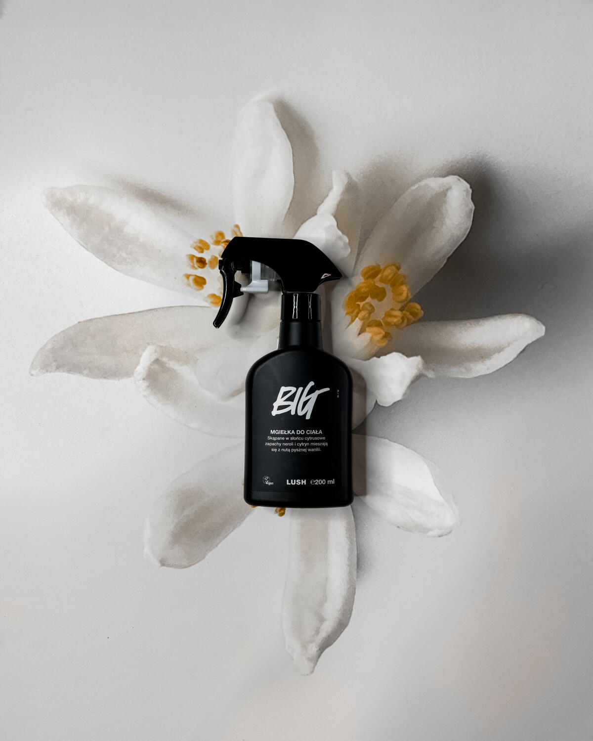 Big Lush - una fragranza unisex 2019